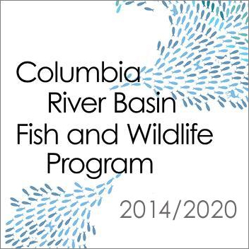 Fish and Wildlife